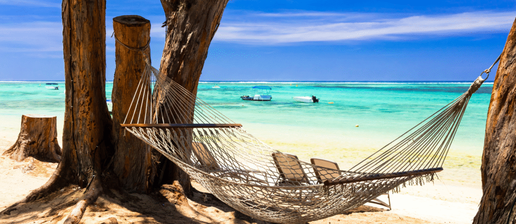 Choosing Auction Items for Fundraising Campaigns | Givergy